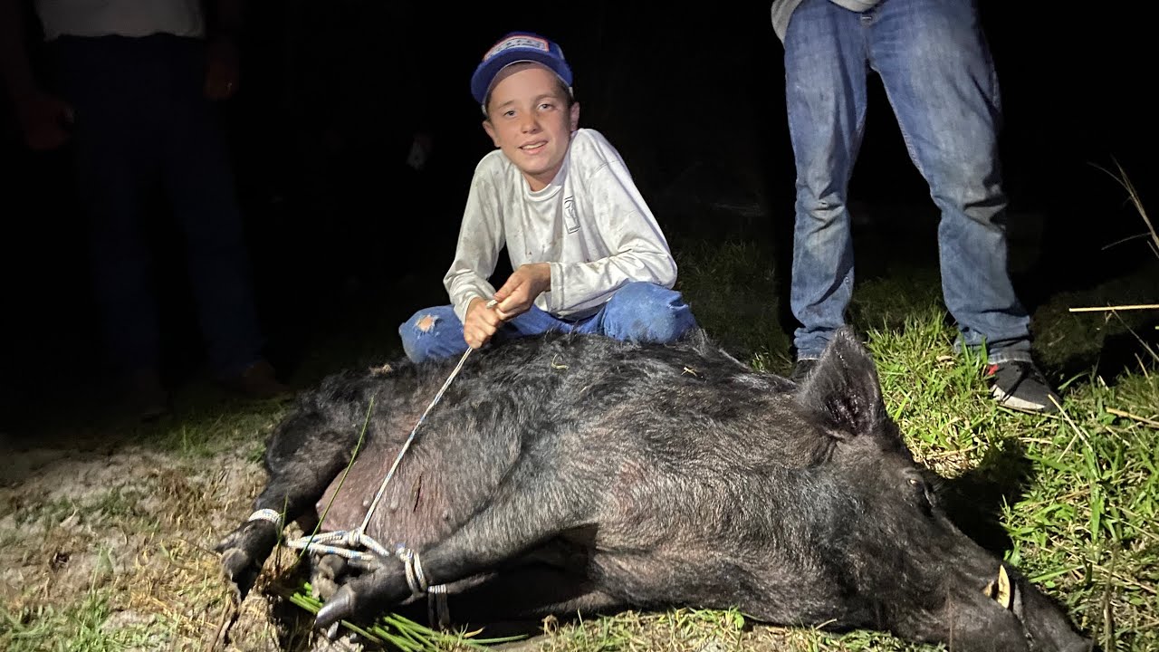 Florida Hog hunting... 300+ pound Monster - YouTube