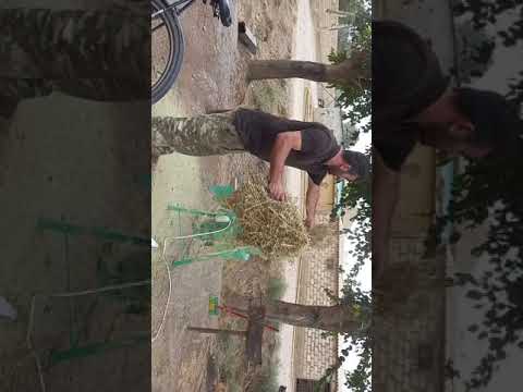 OT DOGRAYAN VE UYUDEN 0702983808