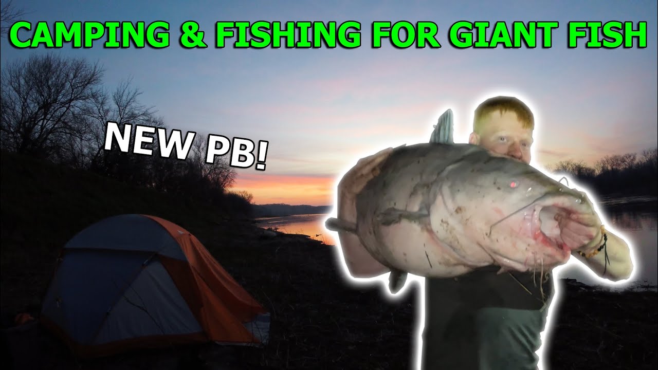 80LB GIANT BLUE CATFISH Caught by Inexperienced Angler (Camping ...