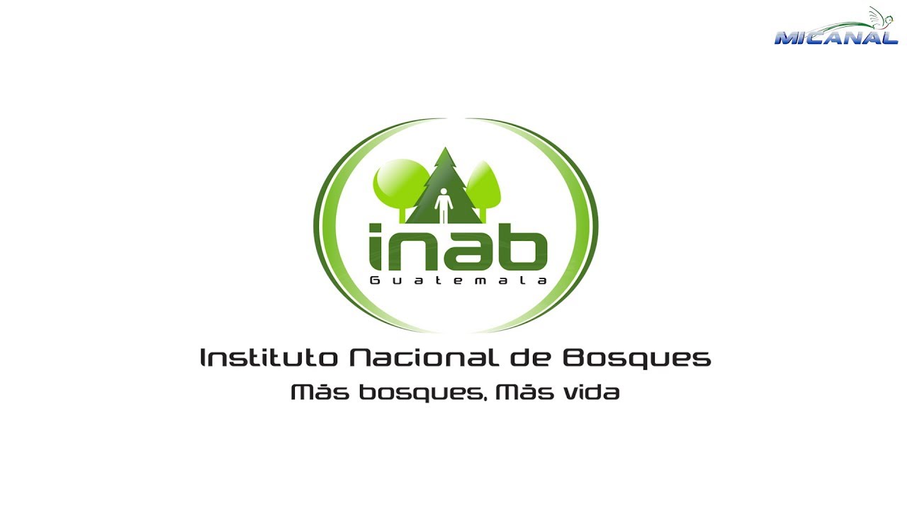 INAB - Proyecto Probosque y Reforestación - YouTube