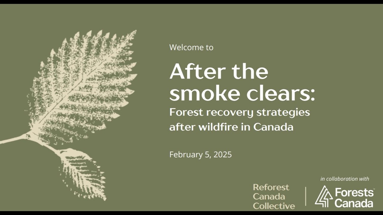 Session 2: Forest recovery strategies after wildfire in Canada - YouTube