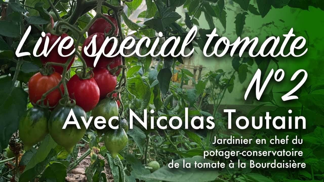 Live spécial tomate, le retour ! Avec Nicolas Toutain. Venez poser ...