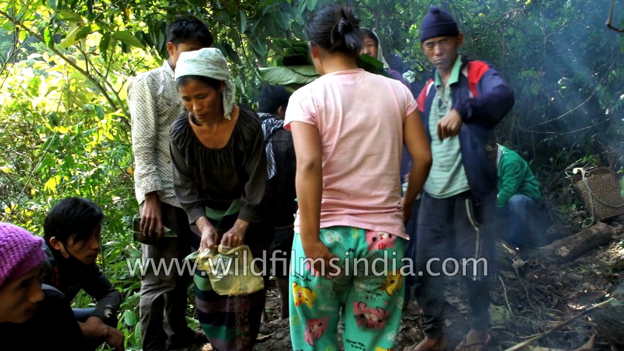 Tribals feast on Bat meat during Arunachal's strange 'Bat Killing ...
