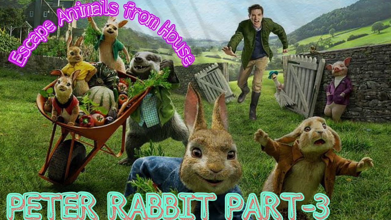 Peter Rabbit Part-3 - YouTube