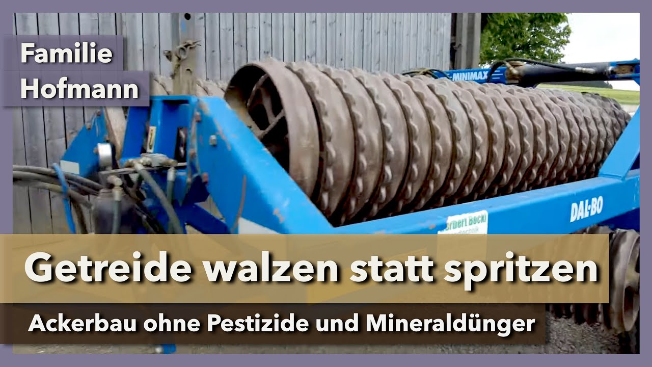 Getreide walzen statt spritzen - Ackerbau ohne Pestizide | Familie ...
