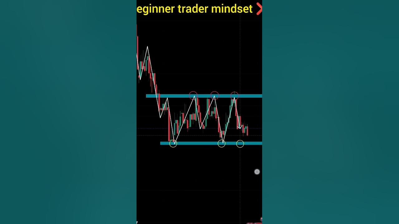 Bigganer trader vs profissaner trader perfect entry in trading #price action #shorts #nifty # ...