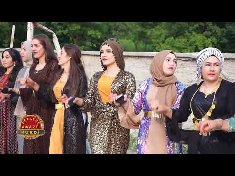 Hozan Fikret - Hakkari Peyanıs Düğünü 
