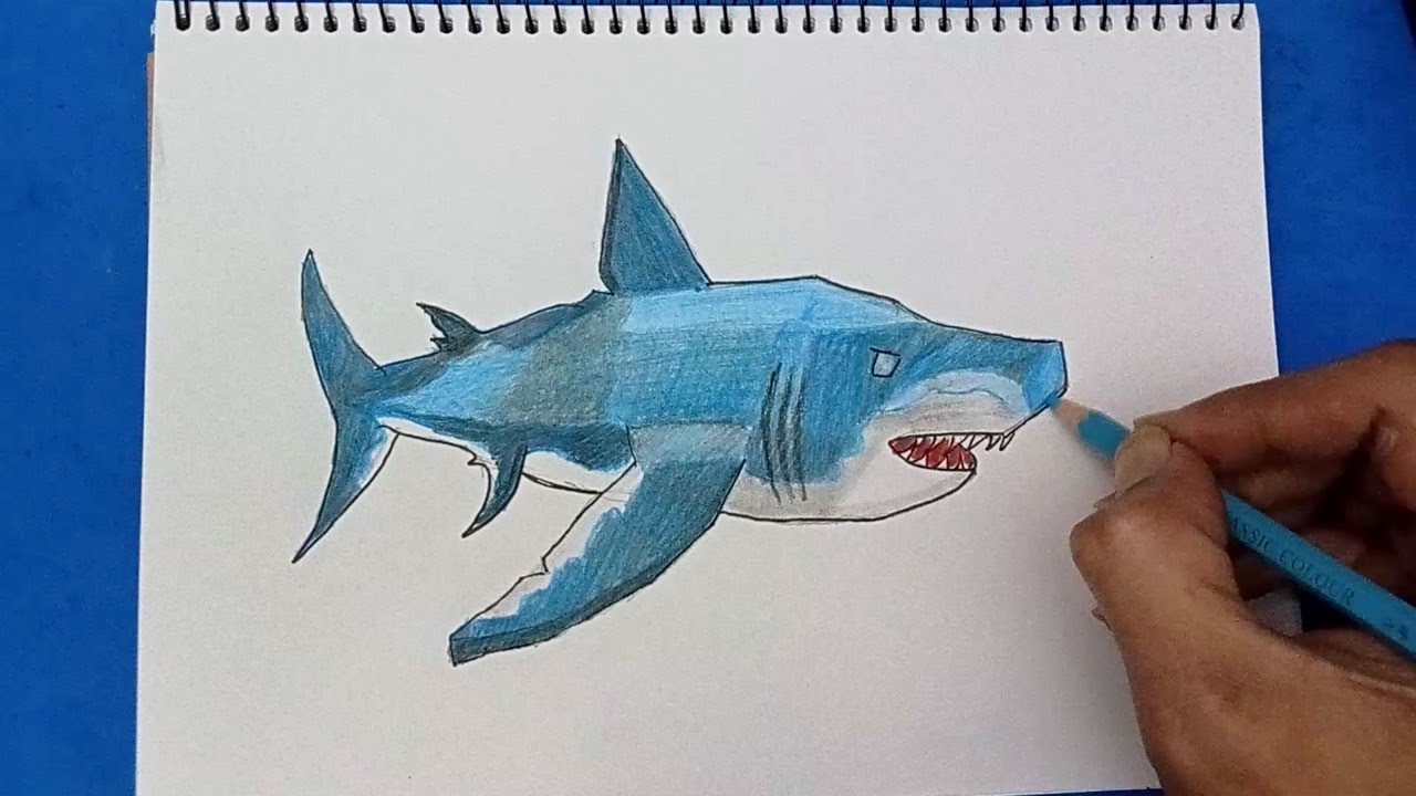 How to draw Megalodon Fisch/Fisch Roblox - YouTube