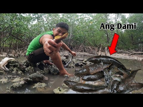 Hindi ko Akalaing marami palang Isda Ang Nagtatago sa Tumpok na mga ...