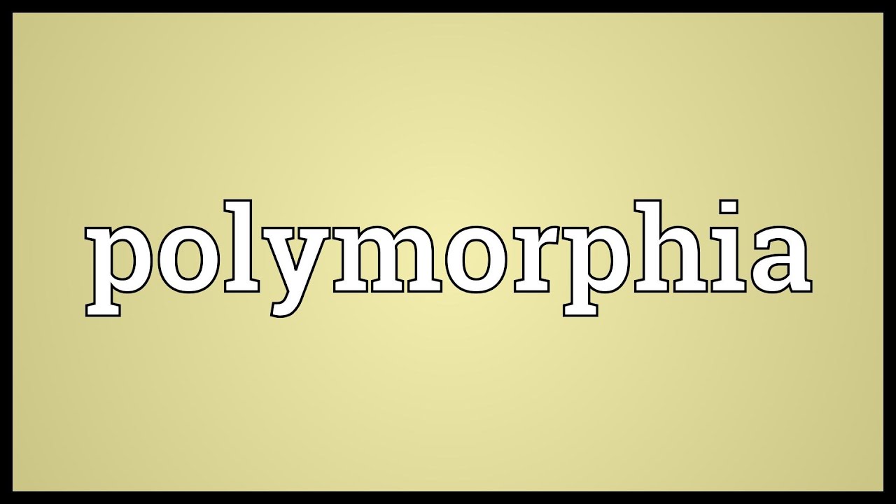 Polymorphia Meaning - YouTube