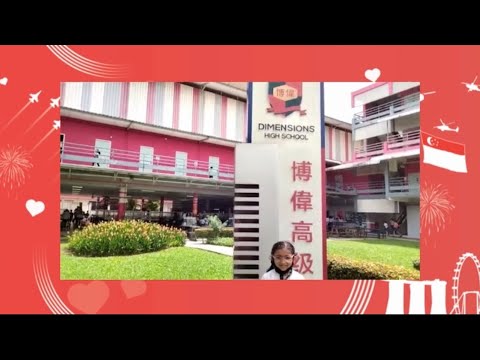 DIMENSIONS NDP 22 - YouTube