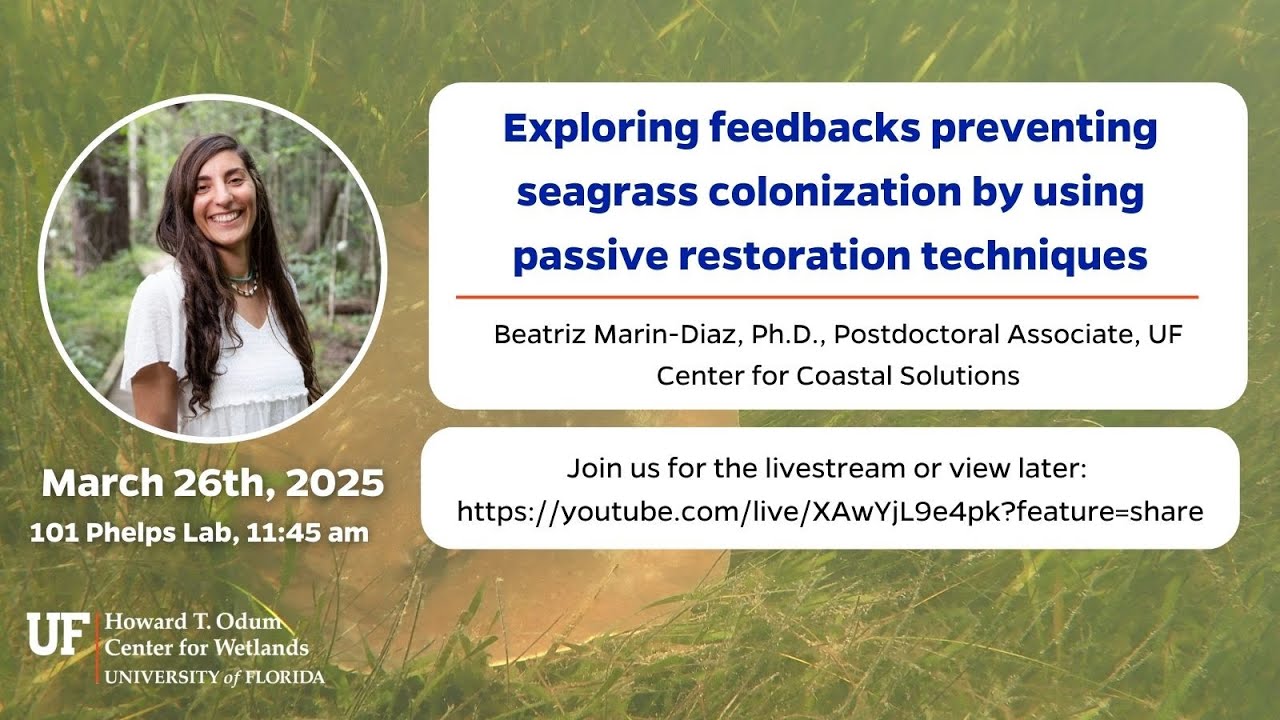 W3: Exploring feedbacks preventing seagrass colonization by using passive restoration techniques ...