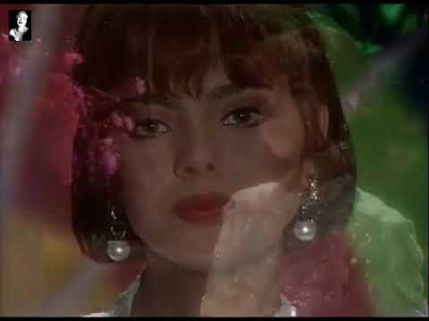 مترجمة Ebru Gündeş -Bana  herşey seni hatırlatıyor