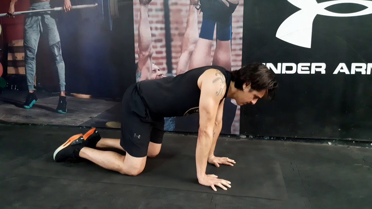 Scap Push Ups Level 1 - YouTube