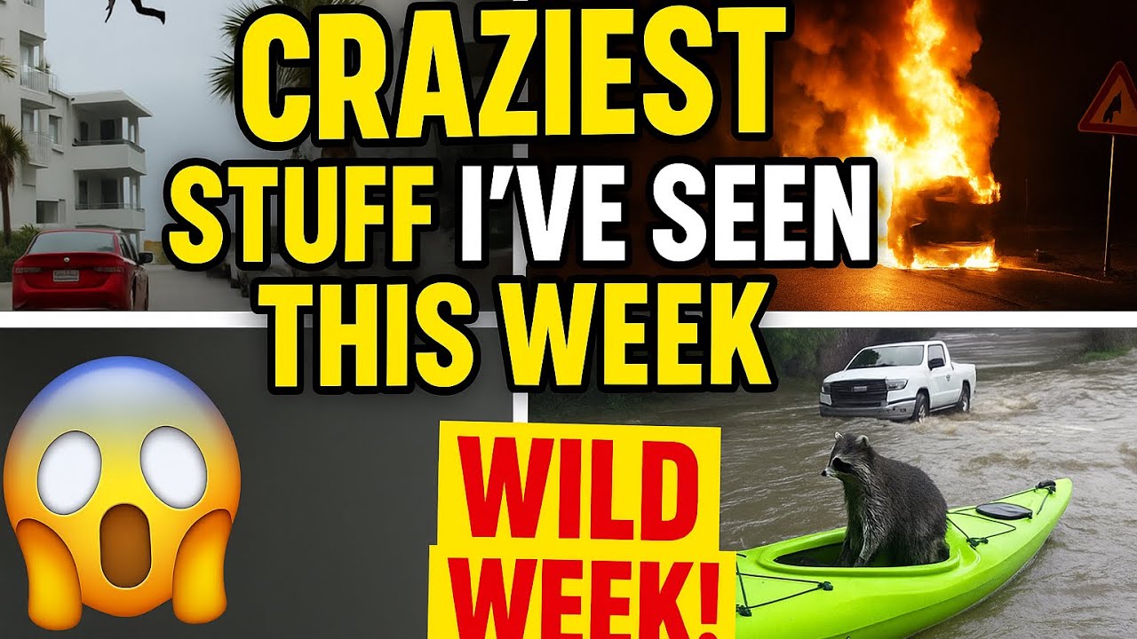 “The CRAZIEST Stuff I’ve Seen This Week 😳 | You Won’t Believe #3 ...