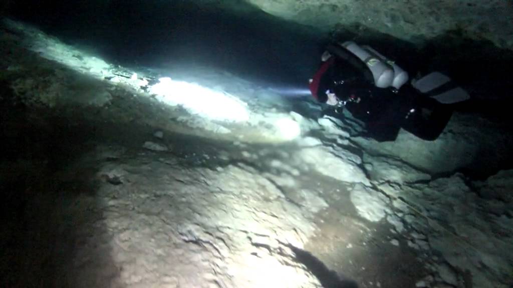 Jackson Blue Guided Dive - YouTube