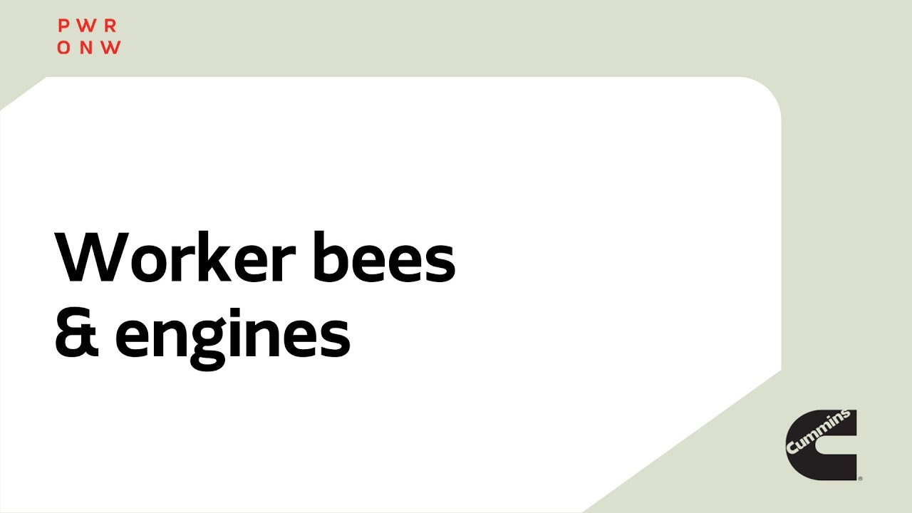 Worker bees & engines | Power Onward podcast - YouTube