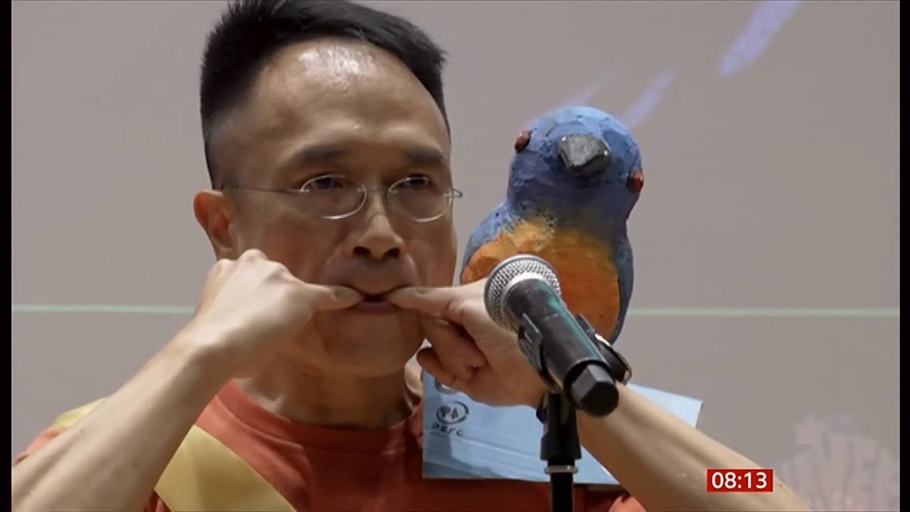 Hong Kong's first bird call competition goes ahead (Fun story) (China ...