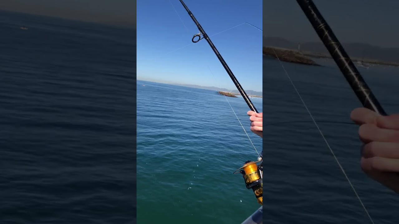 Emmy caught a fish RB pier February 2018 - YouTube