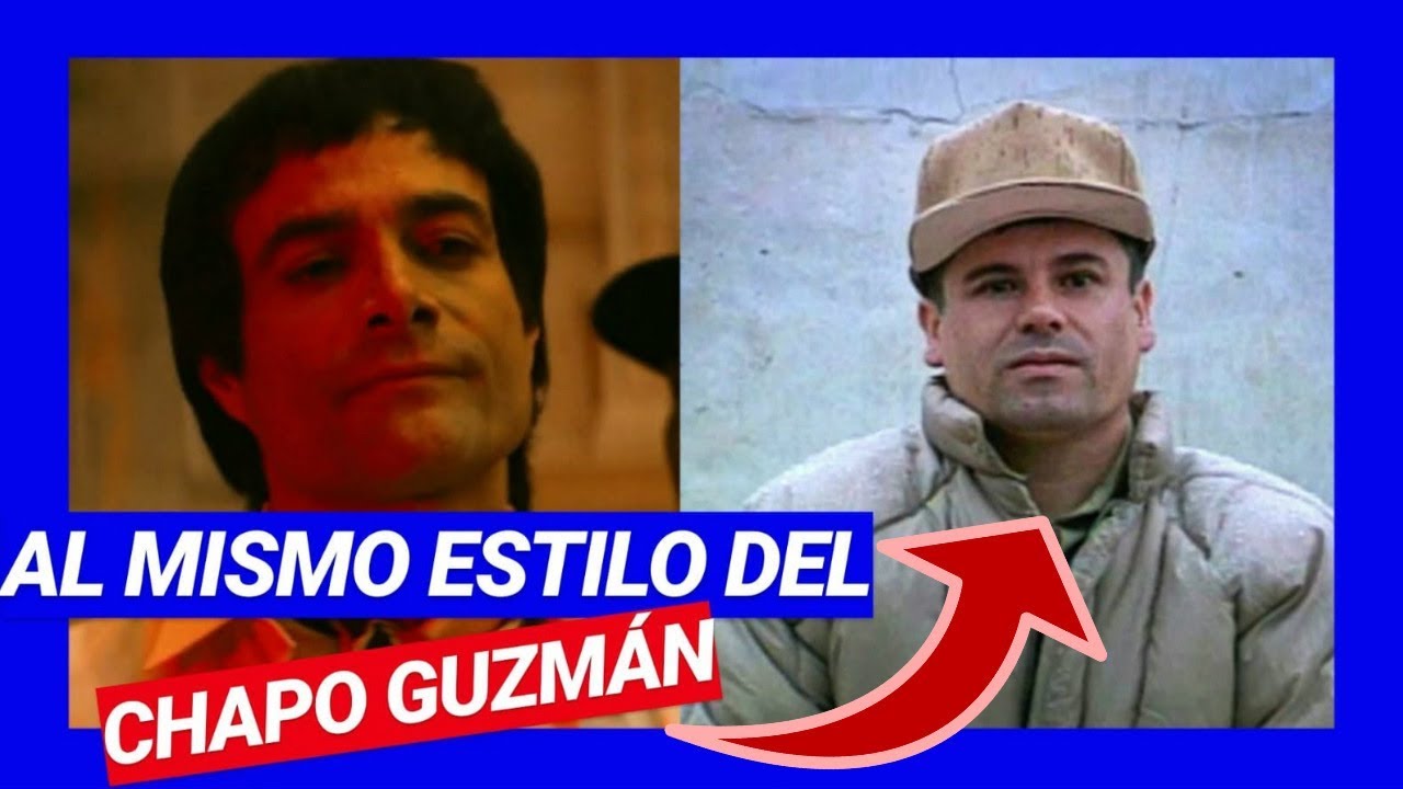 ¿ALBERTO SICILIA FALCÓN maestro del CHAPO GUZMÁN en las fugas? Narcos ...