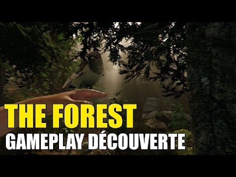 THE FOREST ~ Gameplay découverte [FR] Survival-Horror - YouTube