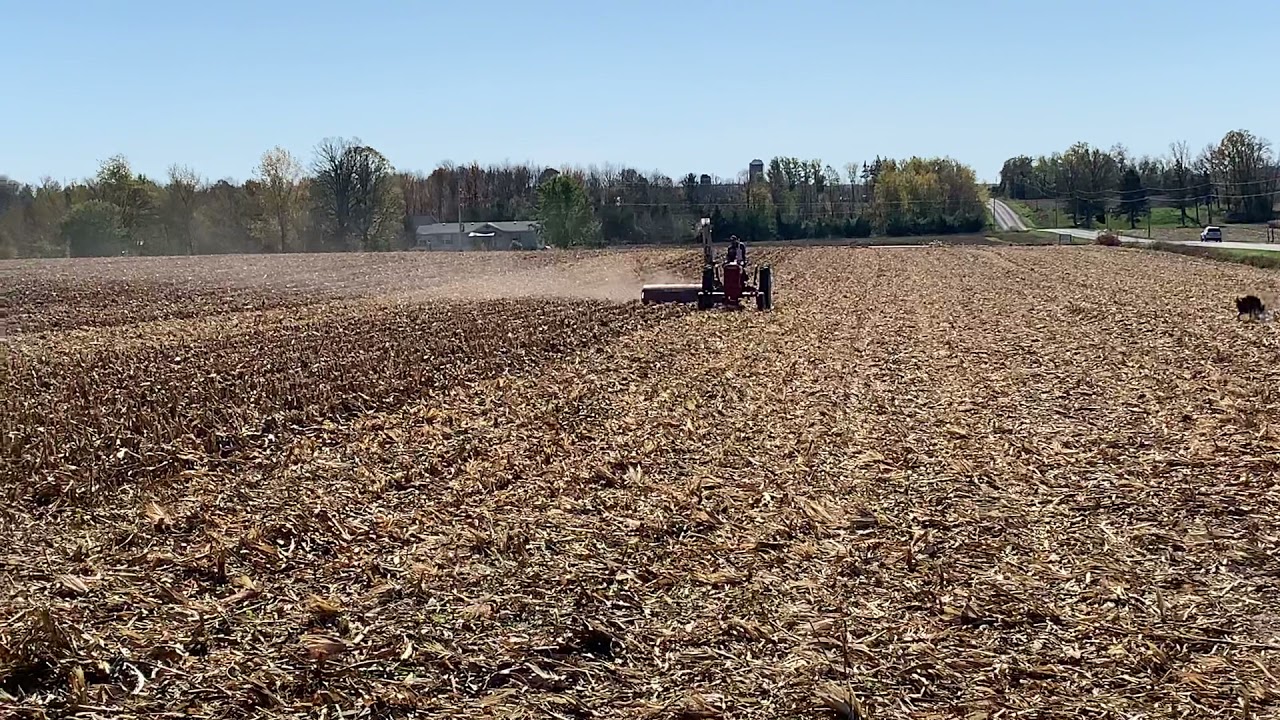 Farmall H chopping corn stalks - YouTube