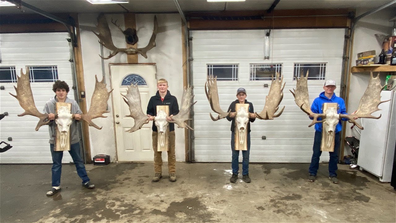 Teaching the boys to European Mount their first moose - YouTube