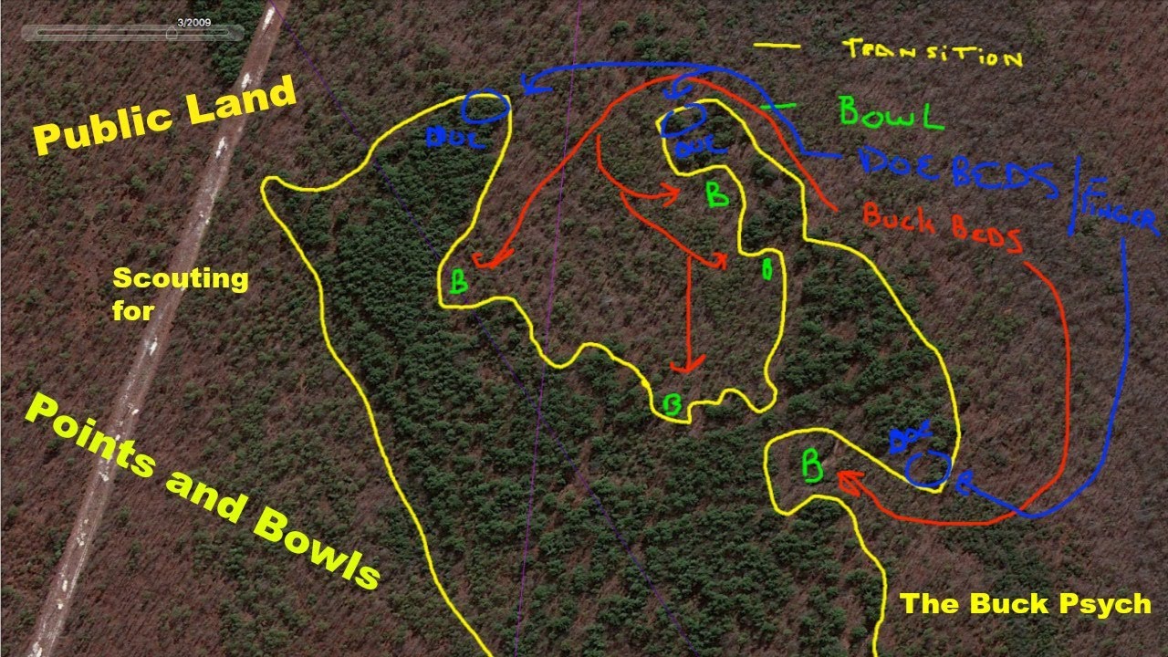 Public Land Big Woods Points and Bowls - YouTube