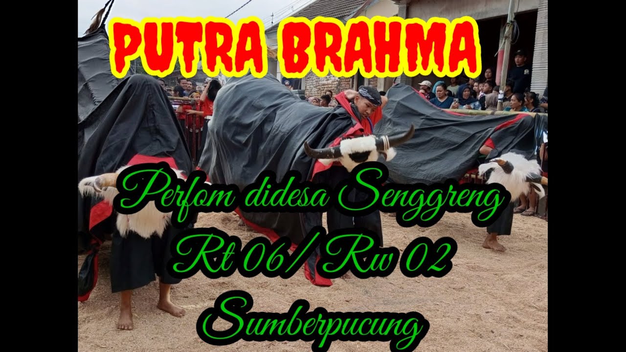 Group Banteng PUTRA BRAHMA || Perfom di desa senggereng Rt 06/ Rw 02 ...