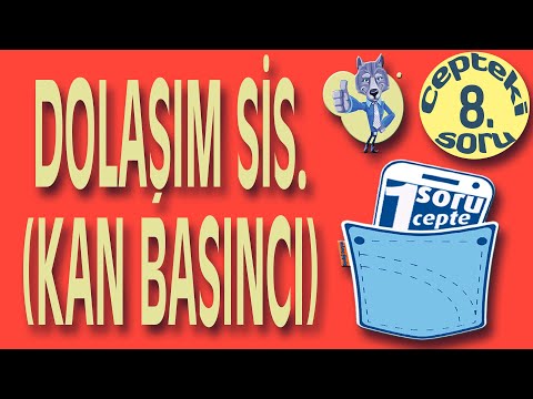 DOLAŞIM SİSTEMİ SORUSU (YKS TYT AYT Biyoloji Dolaşım Sistemi Kan Basıncı 2012 LYS Soru Çözümü)