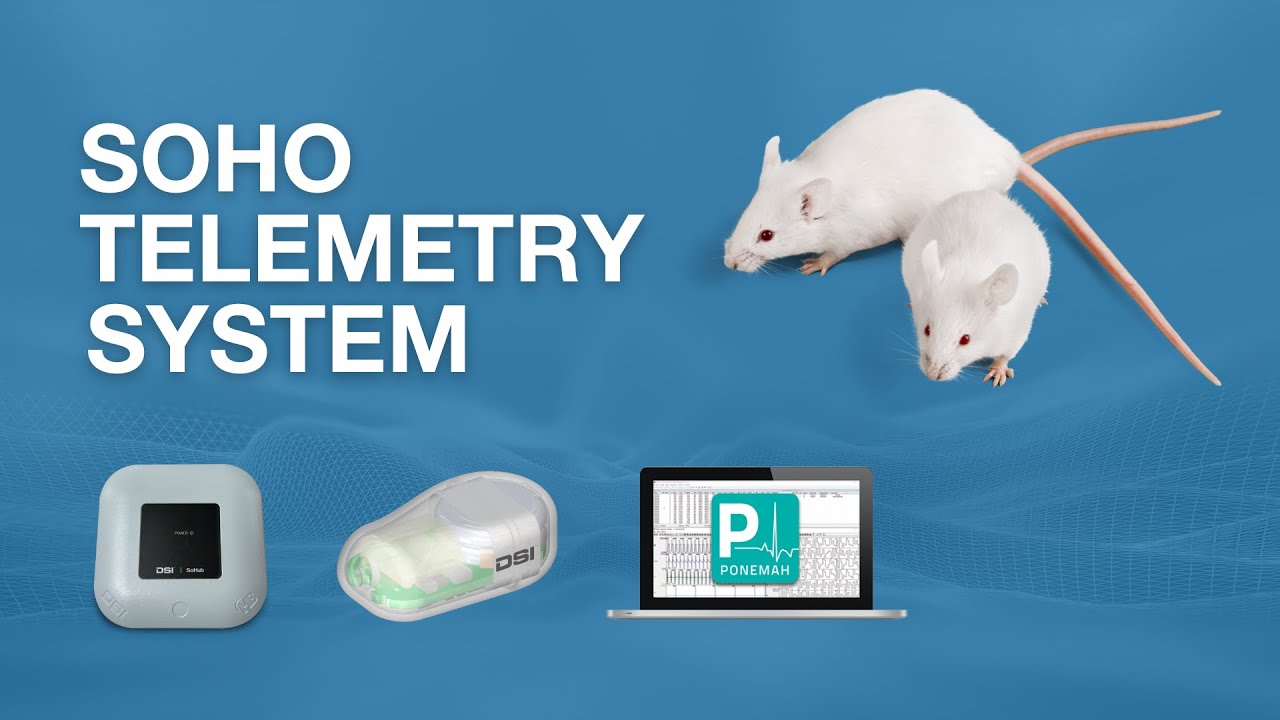 Increased animal welfare, flexibility and efficiency | SoHo Telemetry ...