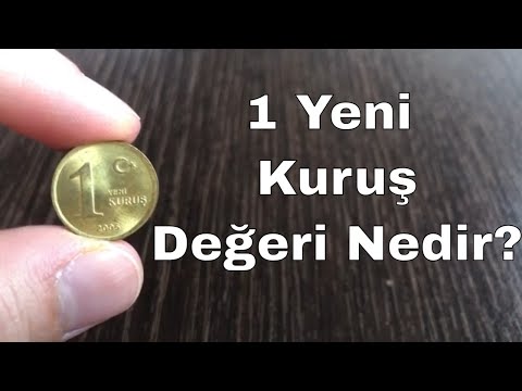 1 Yeni Kuruş (2005-2008) Değeri ve Basım Miktarı: Türk Madeni Paralarının Detaylı İncelemesi
