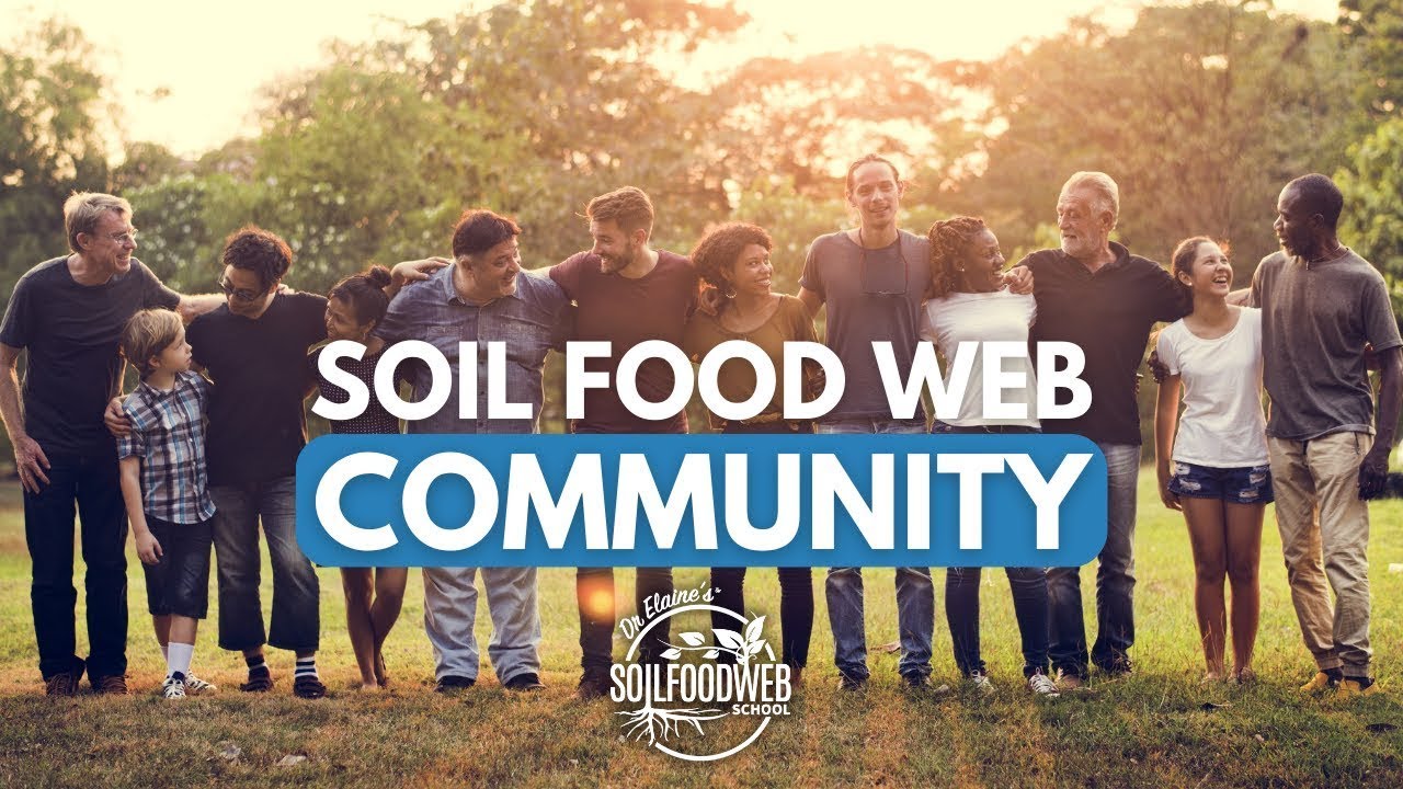 The Soil Food Web Movement Part 2: The Soil Food Web Community - YouTube