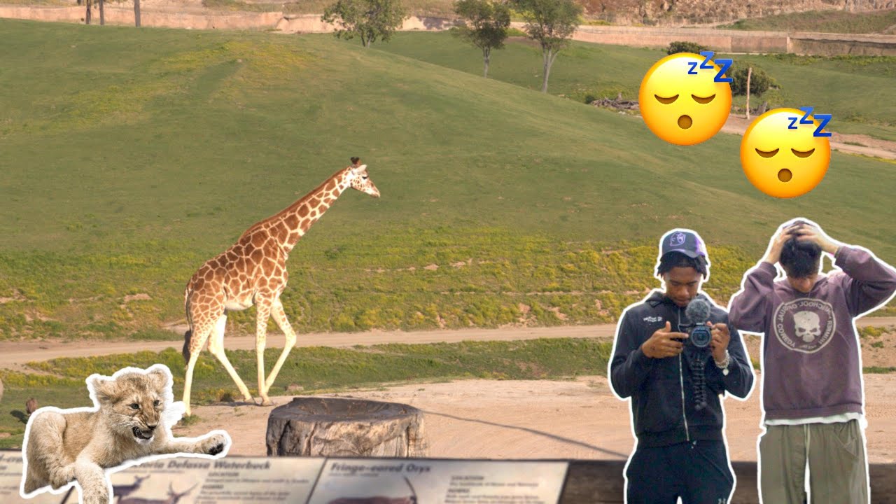 Most Boringest Vlog Ever *Don't Watch* 😴 - YouTube