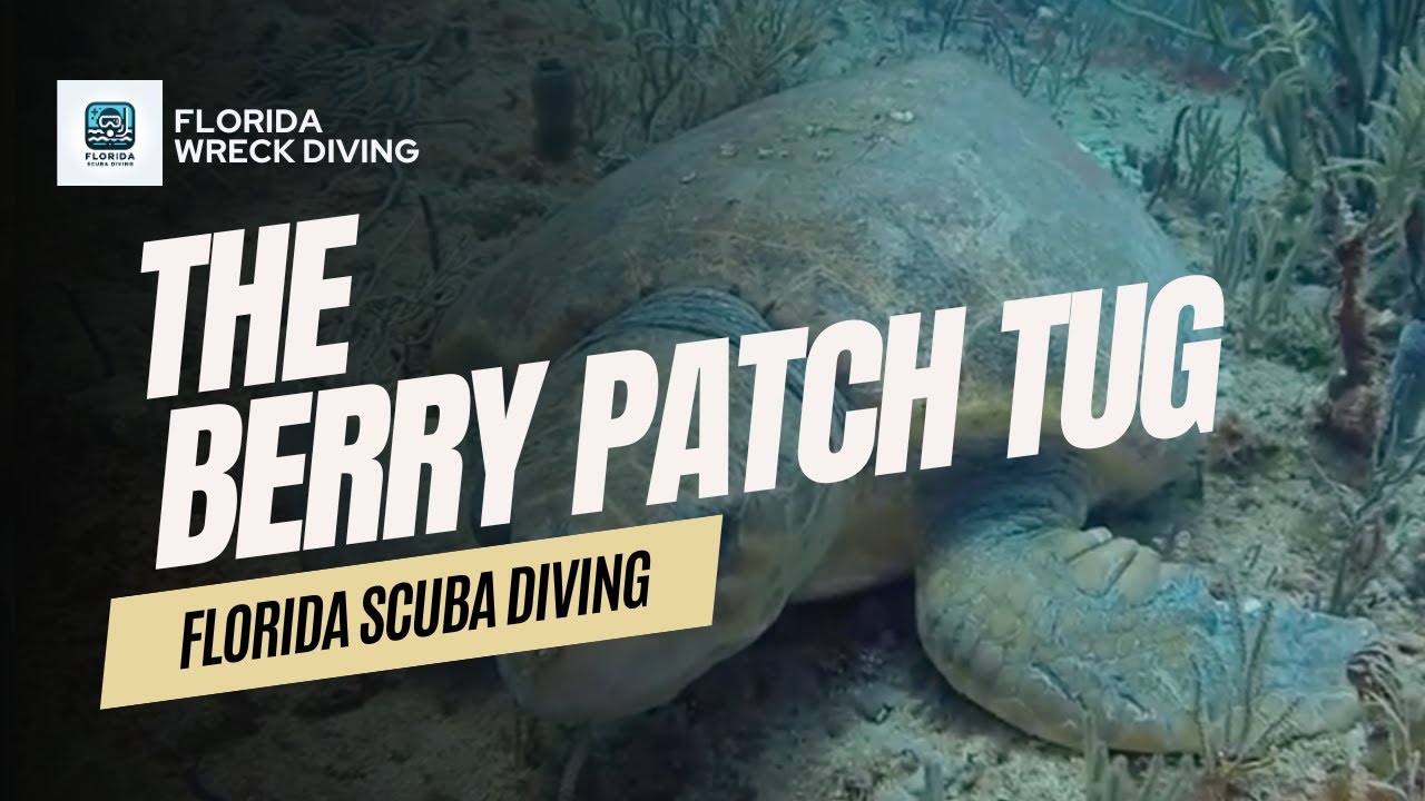The Berry Patch Tug Wreck: Florida Dives 2015, 2019 & 2023 - YouTube Music