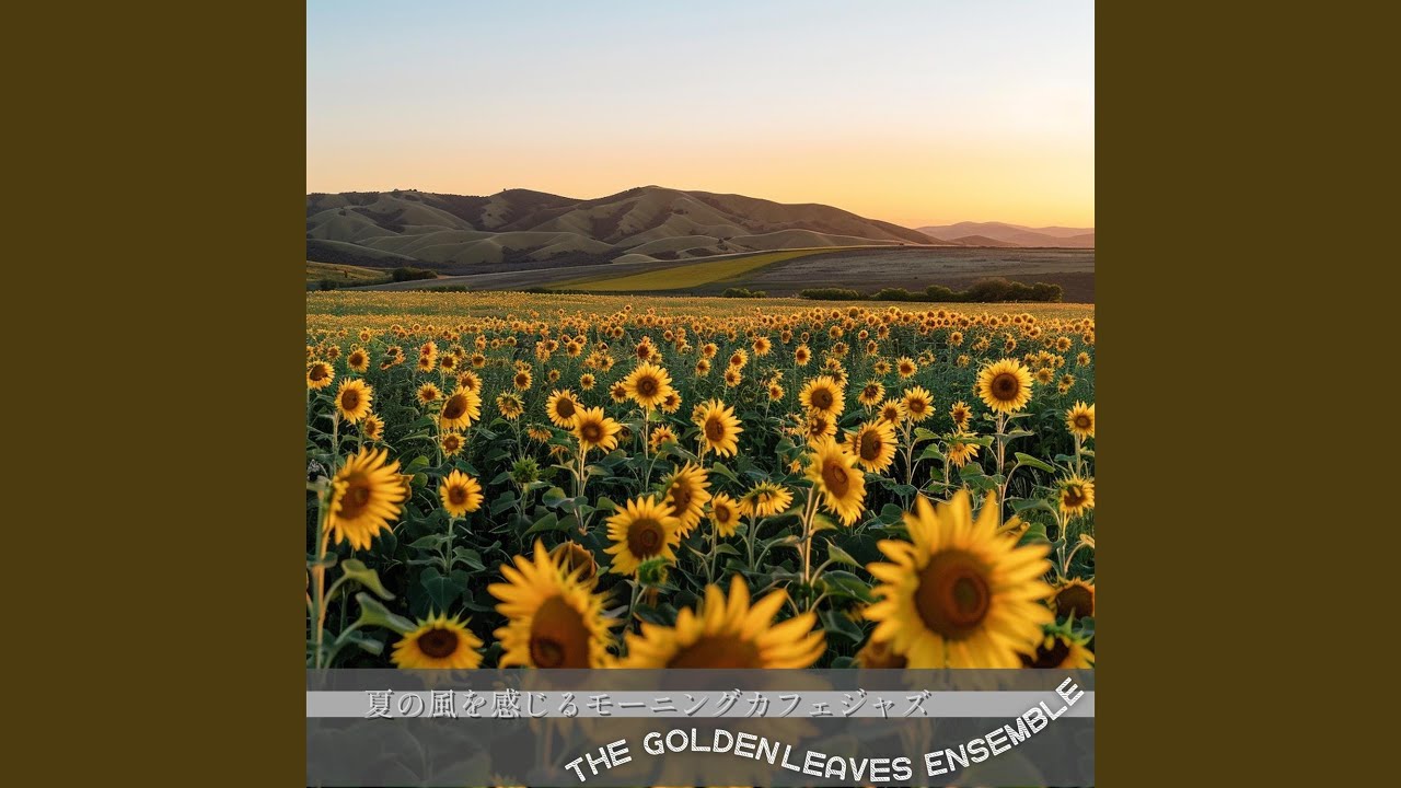 Mellow Sunshine Moments - YouTube