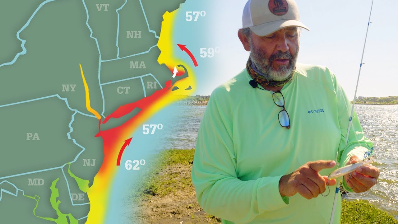 Patrick Sebile and the Most Popular Topwater Plugs in Europe | Striper ...