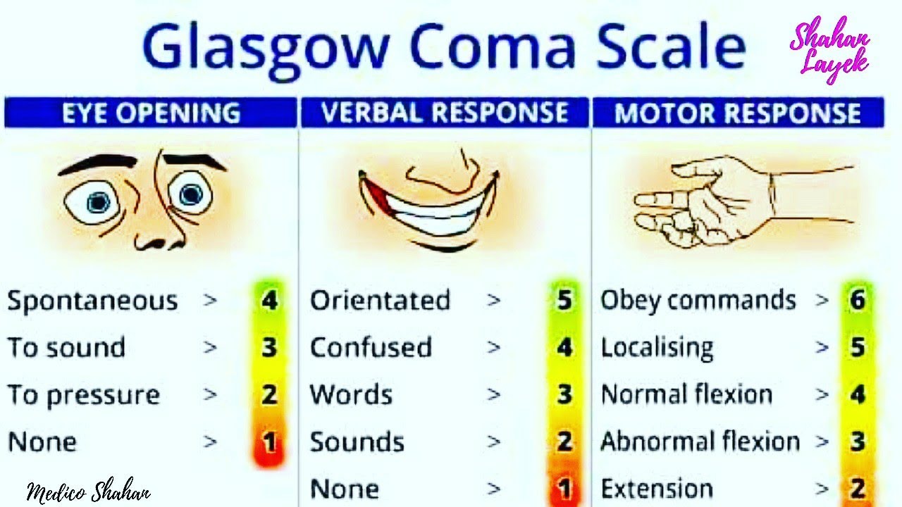Glassgow Coma Scale | GCS | Medico Shahan 🎥☺️ - YouTube
