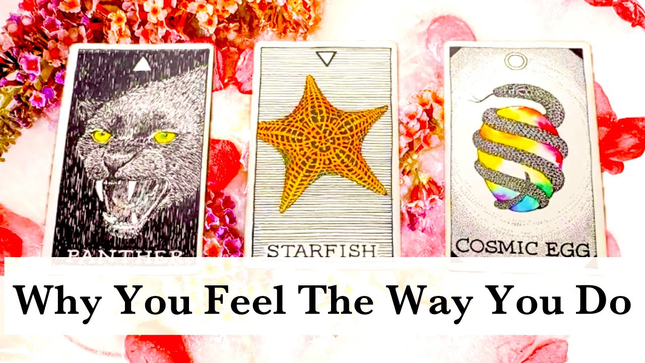🔮 The reason for what you are feeling | pick a card reading - YouTube