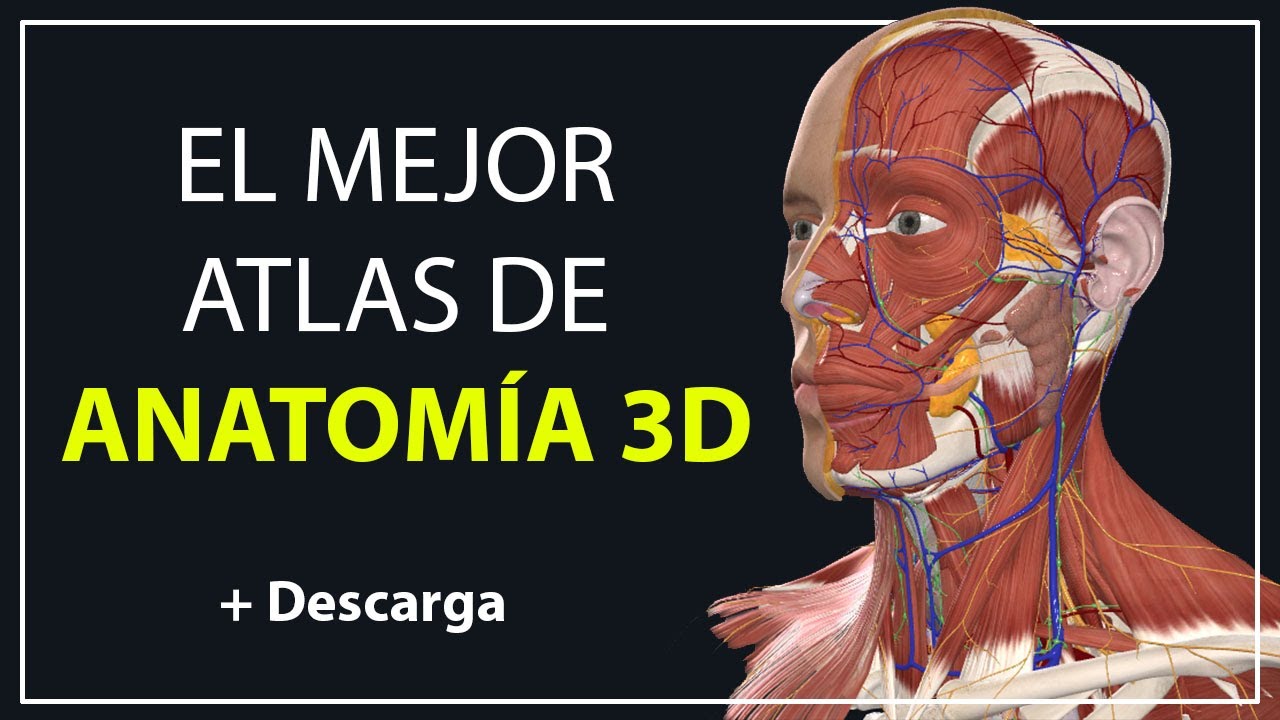 Atlas De Anatomía Humana 3d