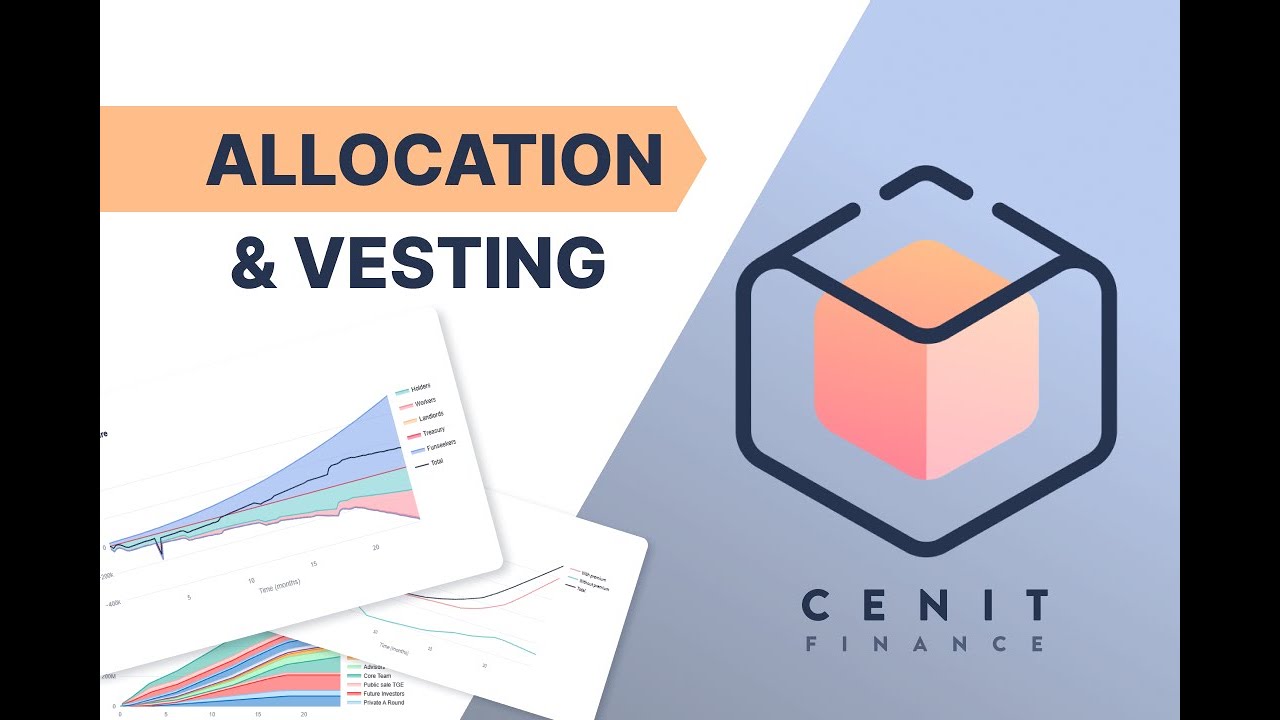 Set Up Your Vesting Schedule and Allocation Properly - Tutorial - YouTube