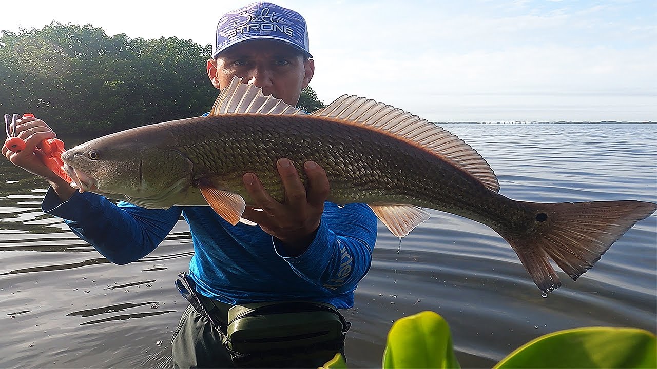 Catching Redfish in Florida: Exciting Slot Redfish Adventure - YouTube
