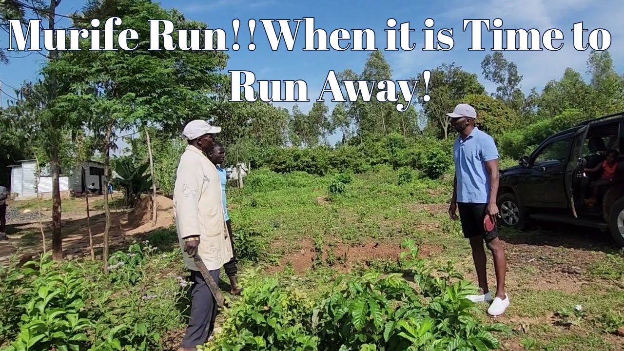MURIFE RUN!!! Why I tell Some Clients To Abandon Ship and Run For the ...