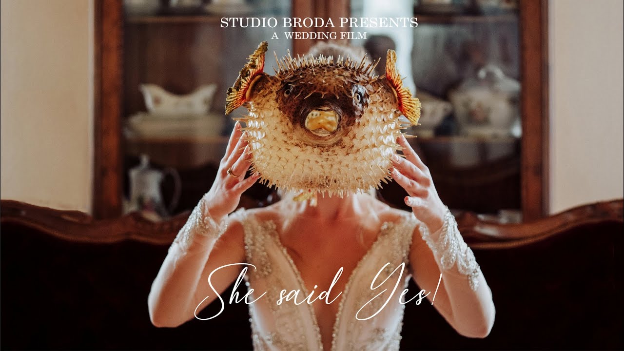 She said Yes czyli szalone wesele Dominiki i Bartka | Klip Ślubny | Studio Broda - YouTube