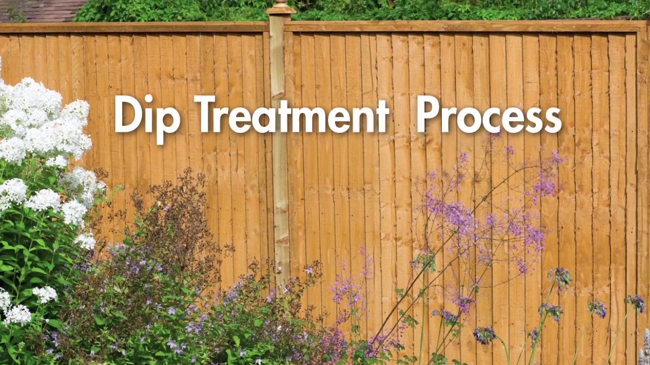 What is Dip Treated Wood & How Does the Dip Treatment Process Work ...