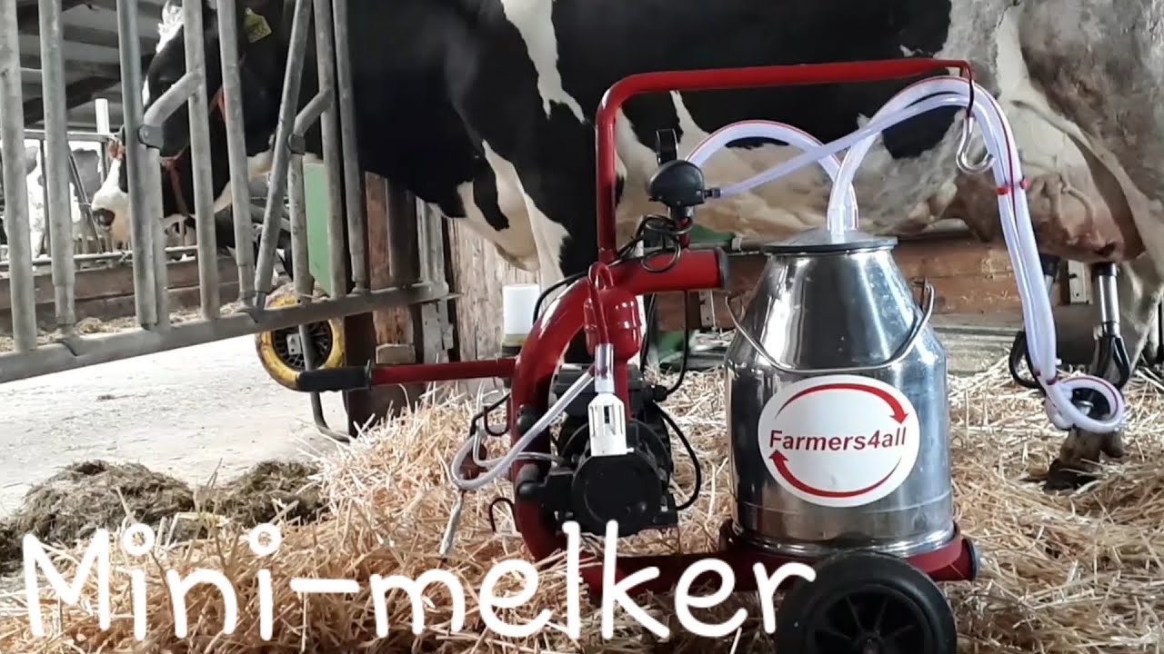 Boer Gerrit vlogt | Melken met een mini melkmachine | Minimelker ...