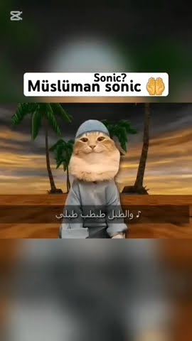 muslim sonic - YouTube
