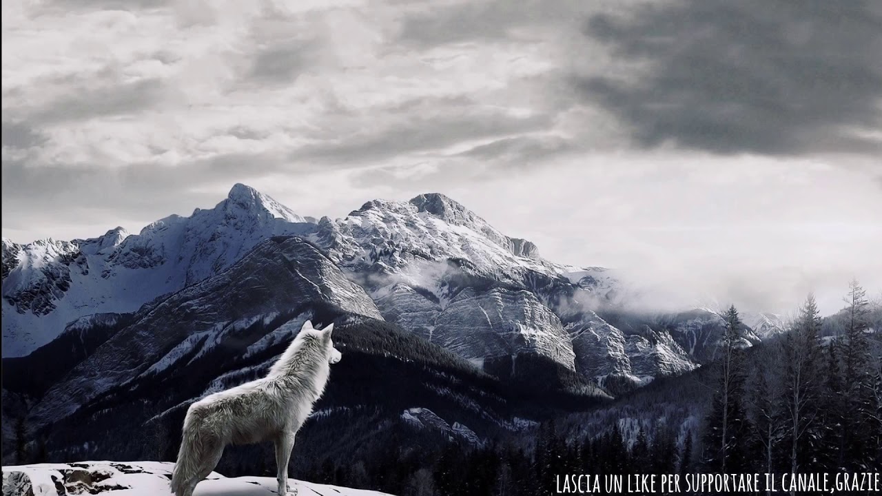 AGGRESSIVE WOLF BEAT (hard trap beat) Prod. Nick Salvi - YouTube