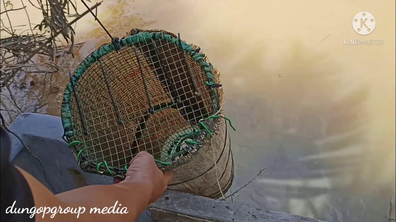 perangkap udang sungai I bubu dari kawat sederhana - YouTube