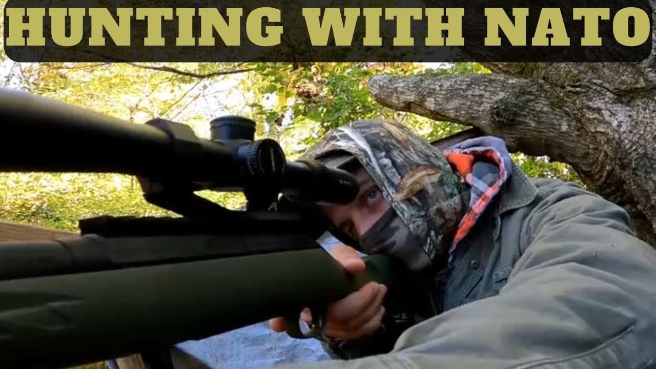 Deer Hunting with NATO Calibers : 5.56x45 & 7.62x51 - YouTube